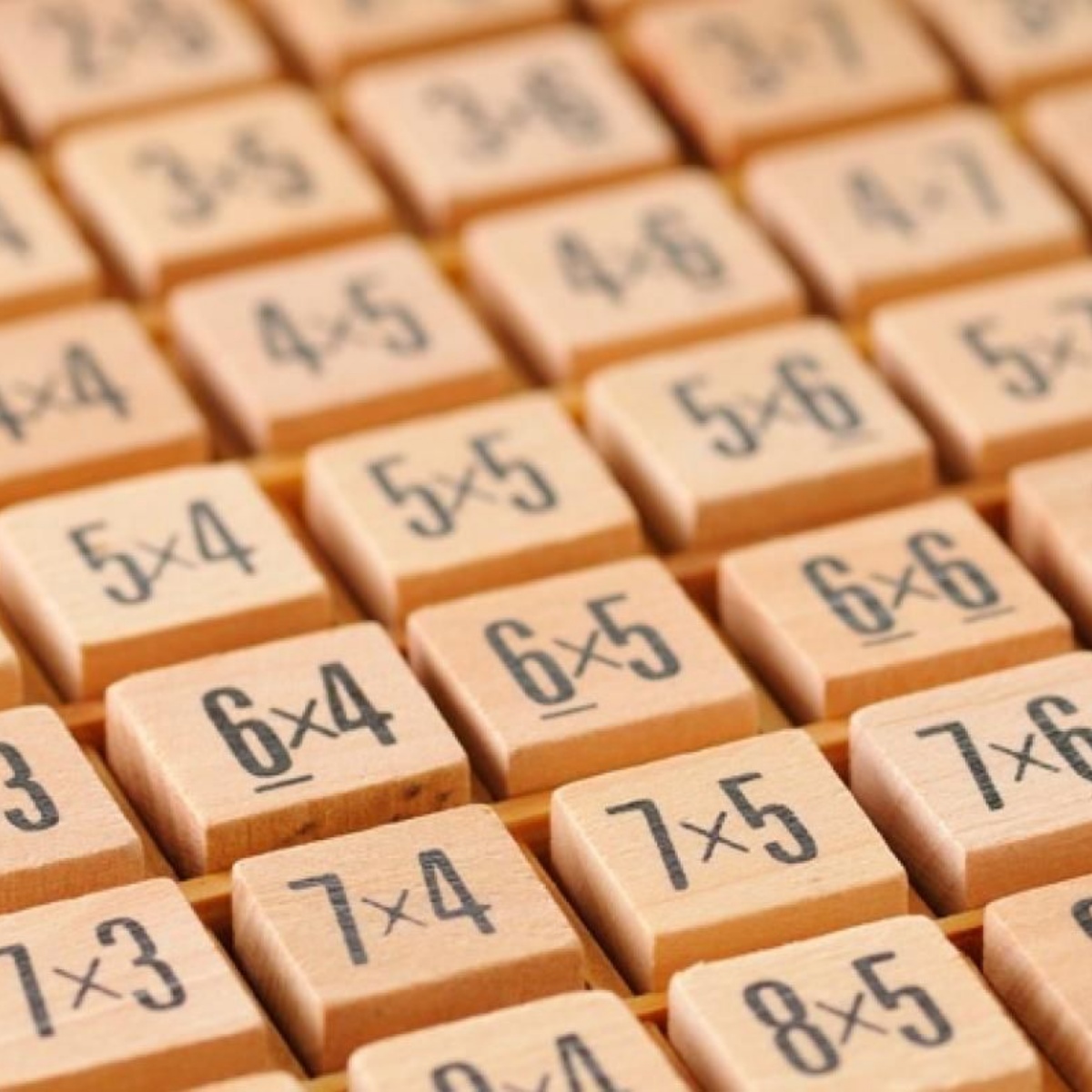 Vaughan Primary School - Item Not Available